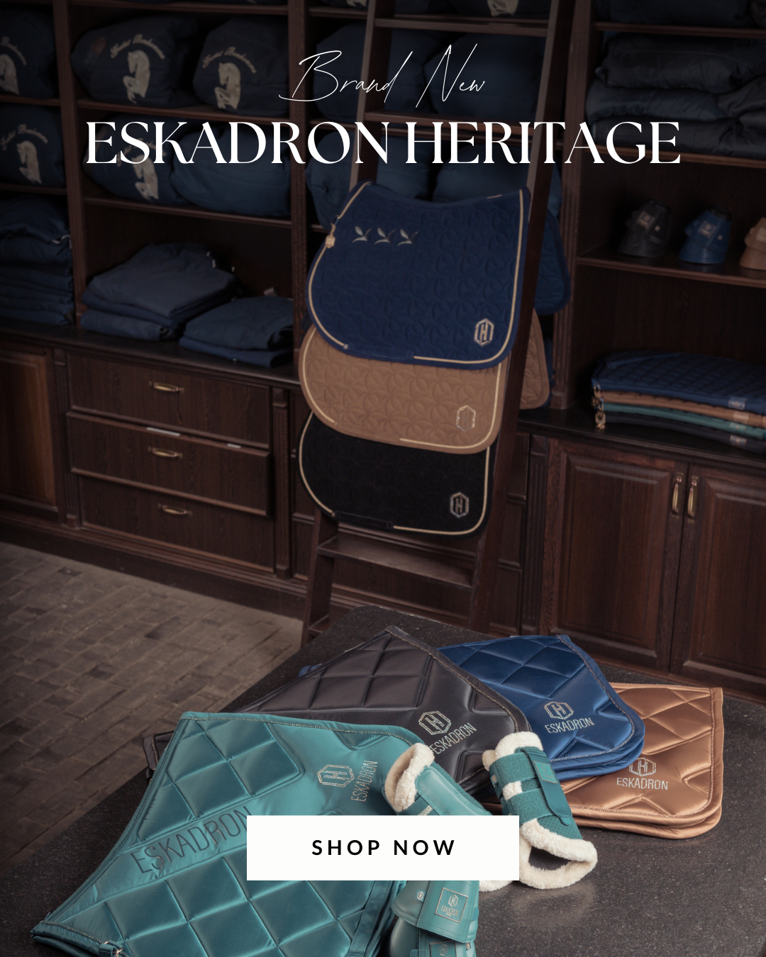 Matching horsewear and riderwear for horse riders – Matchy Dressage