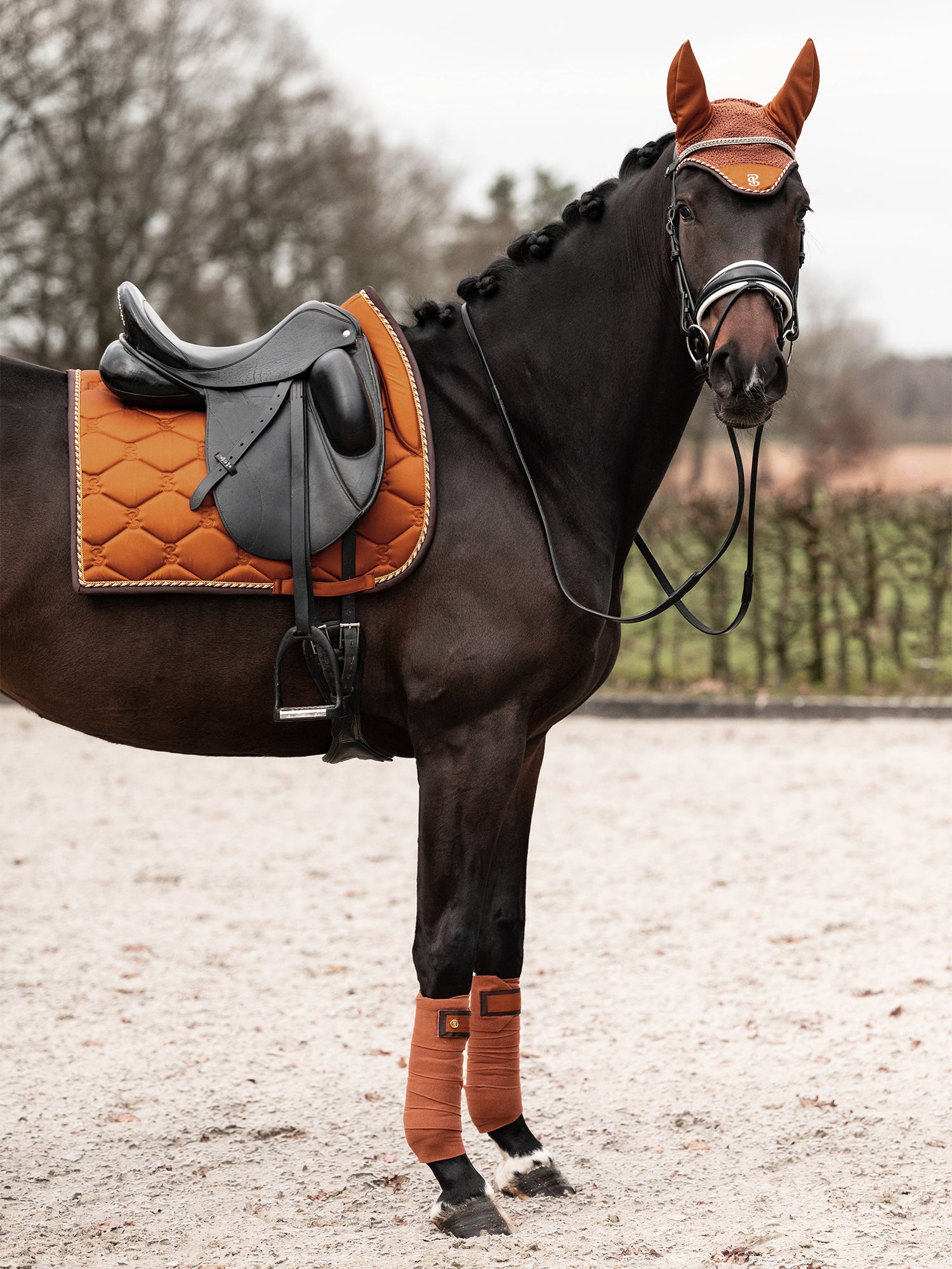 Matching horsewear and riderwear for horse riders – Matchy Dressage
