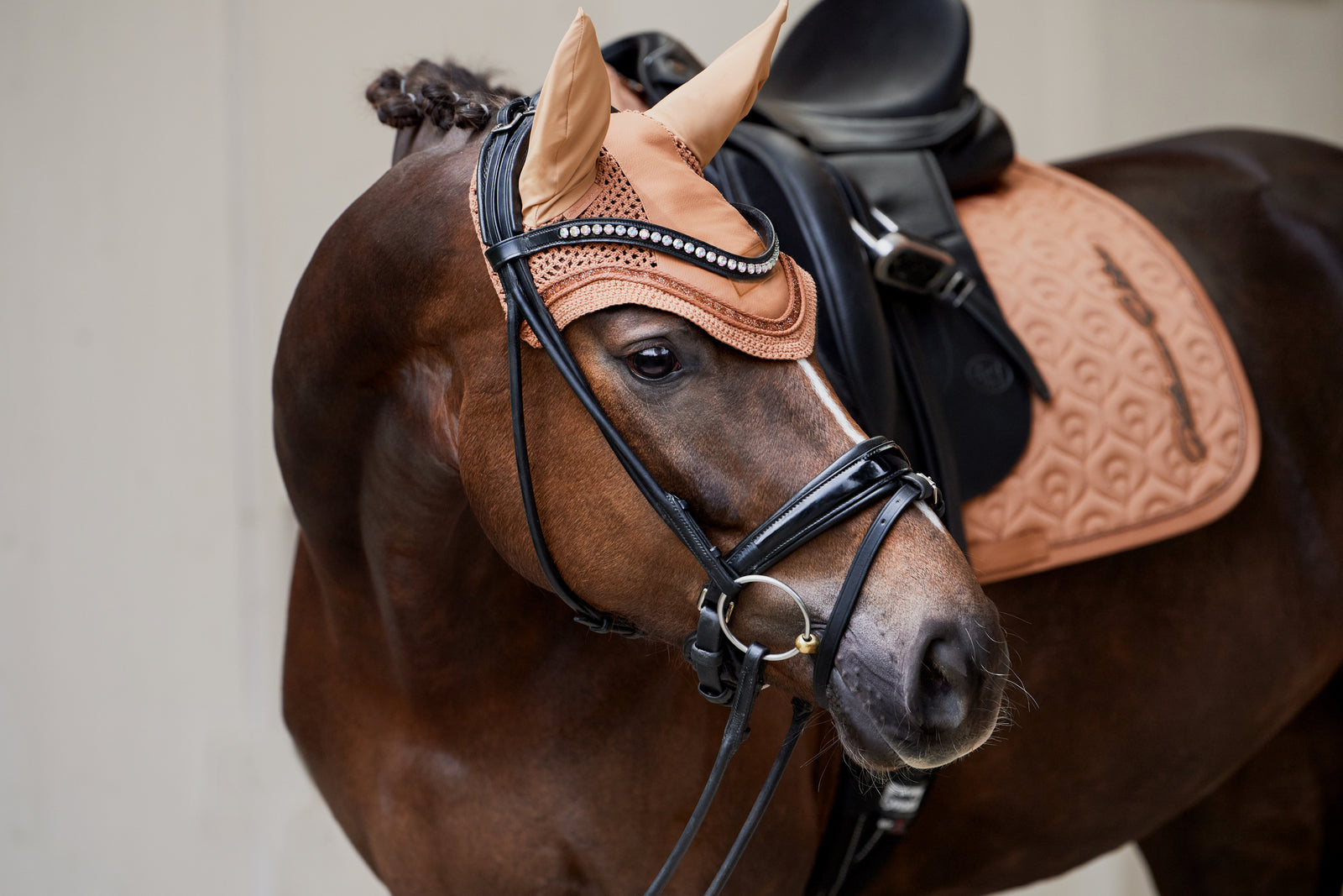 Matching horsewear and riderwear for horse riders – Matchy Dressage